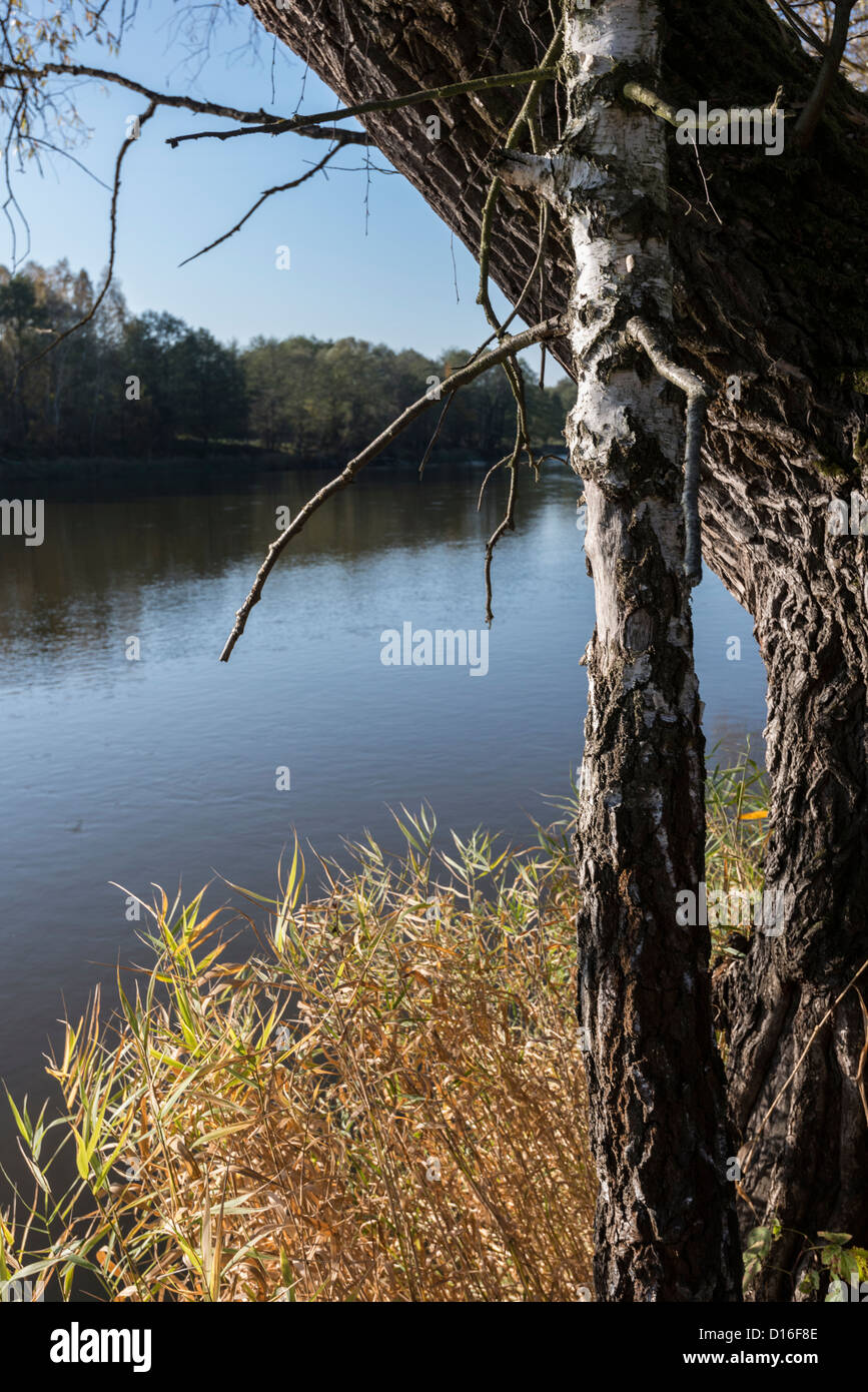 Around river Bug, Eastern Poland Stock Photo - Alamy