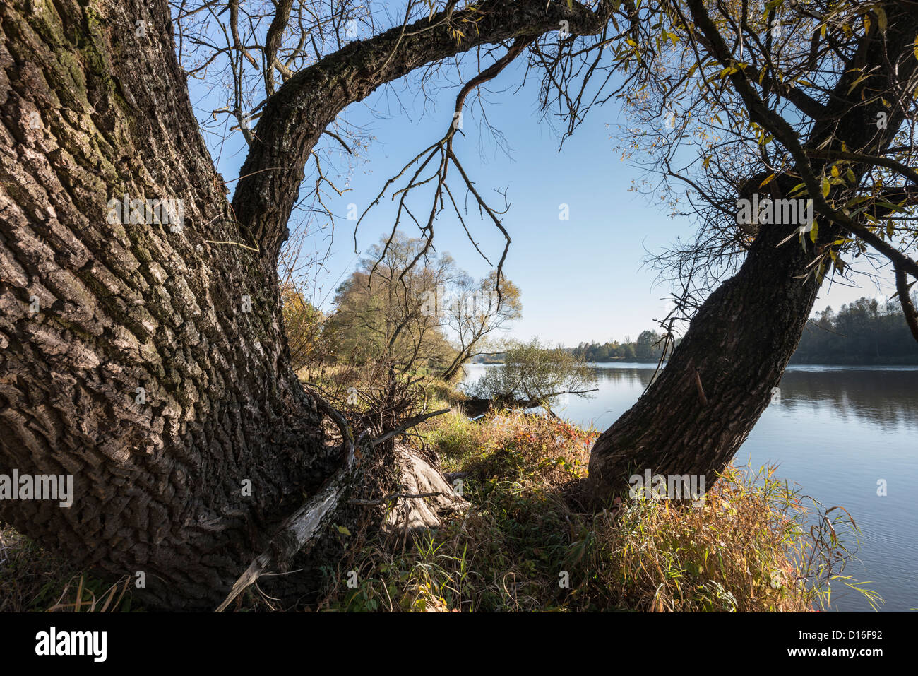 Around river Bug, Eastern Poland Stock Photo - Alamy