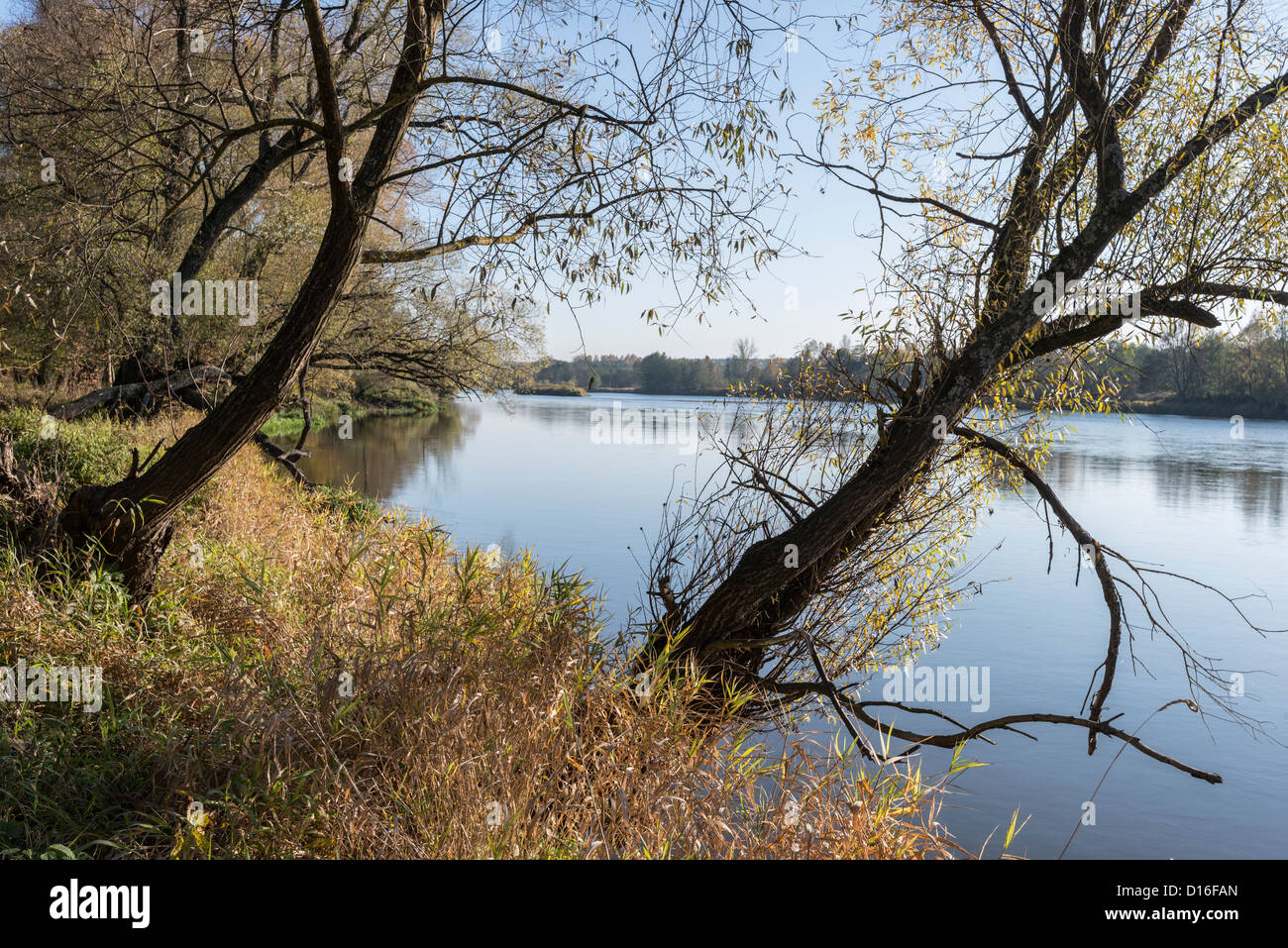 Around river Bug, Eastern Poland Stock Photo - Alamy