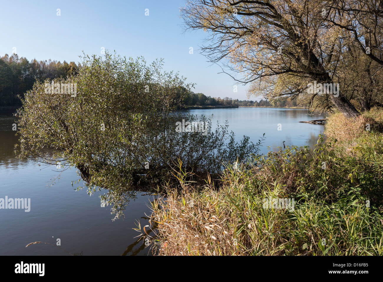 Around river Bug, Eastern Poland Stock Photo - Alamy