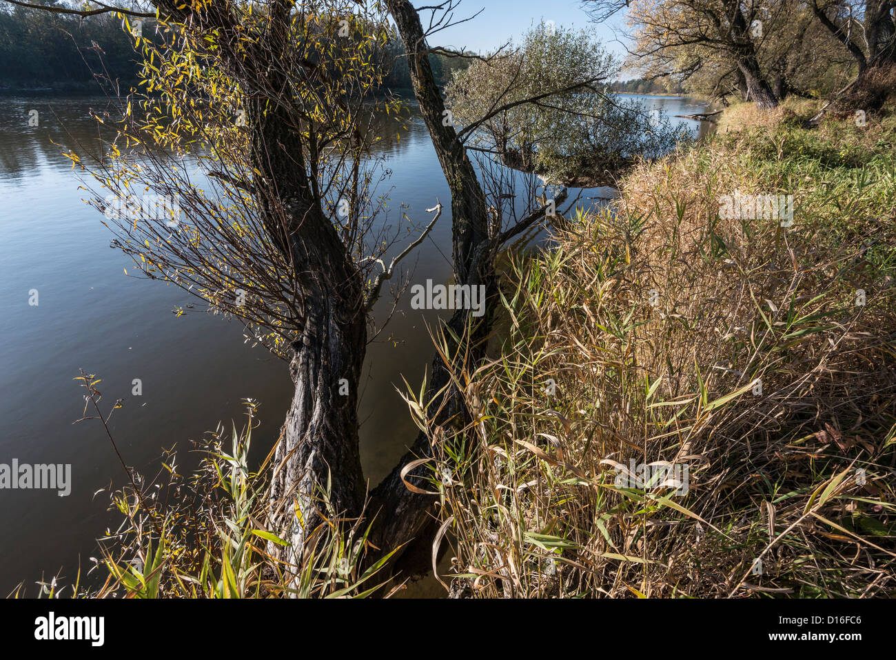 Around river Bug, Eastern Poland Stock Photo - Alamy