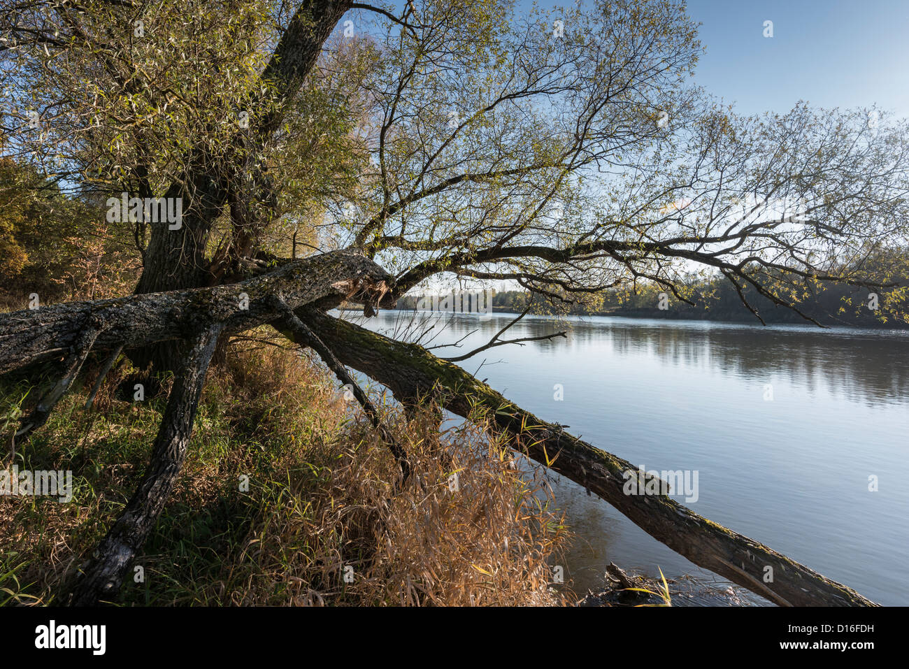 Around river Bug, Eastern Poland Stock Photo - Alamy