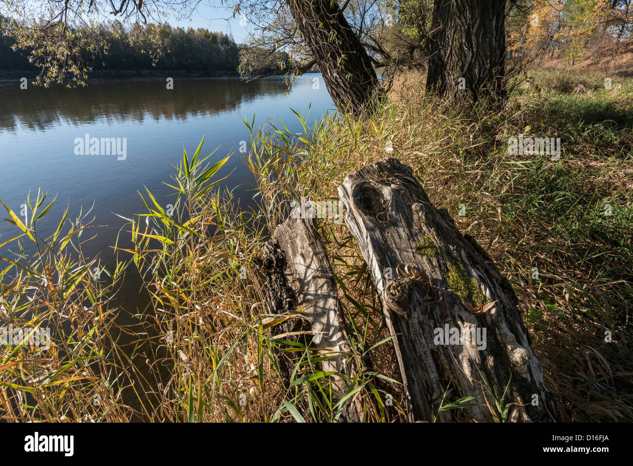 Around river Bug, Eastern Poland Stock Photo - Alamy
