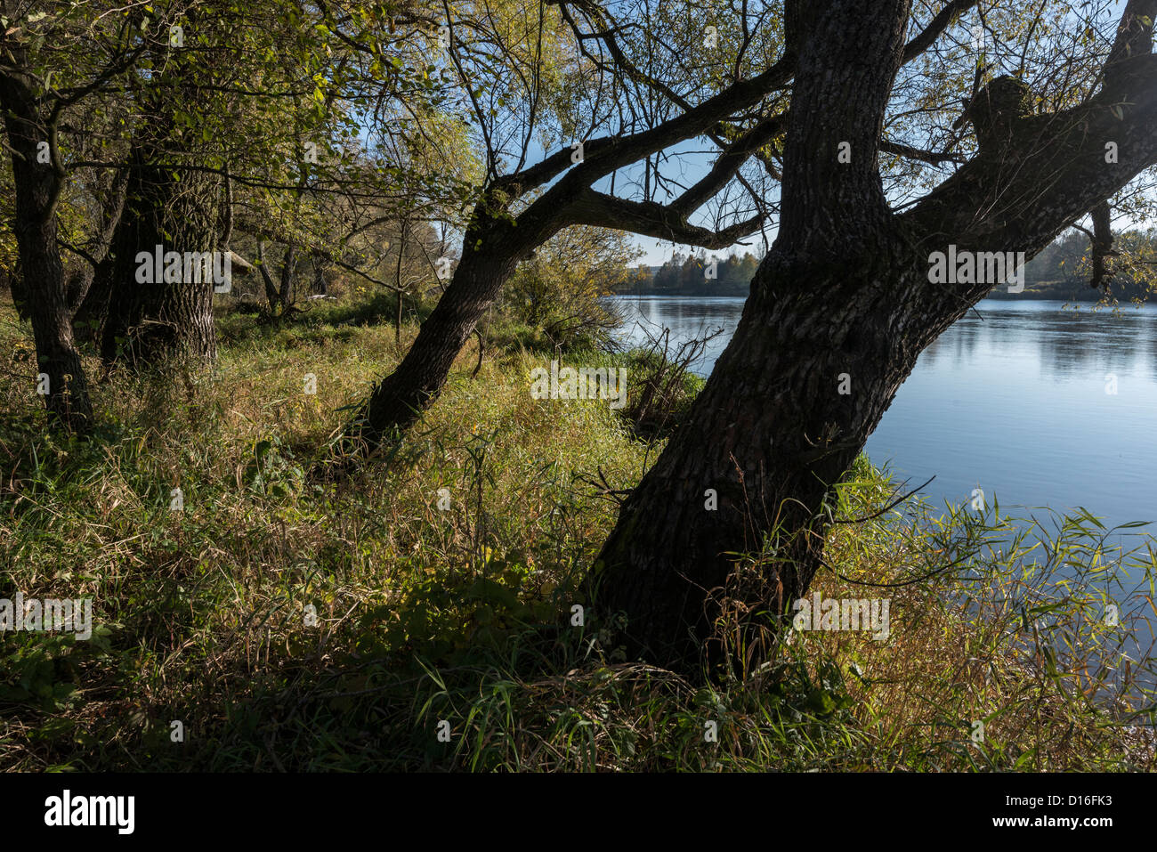 Around river Bug, Eastern Poland Stock Photo - Alamy