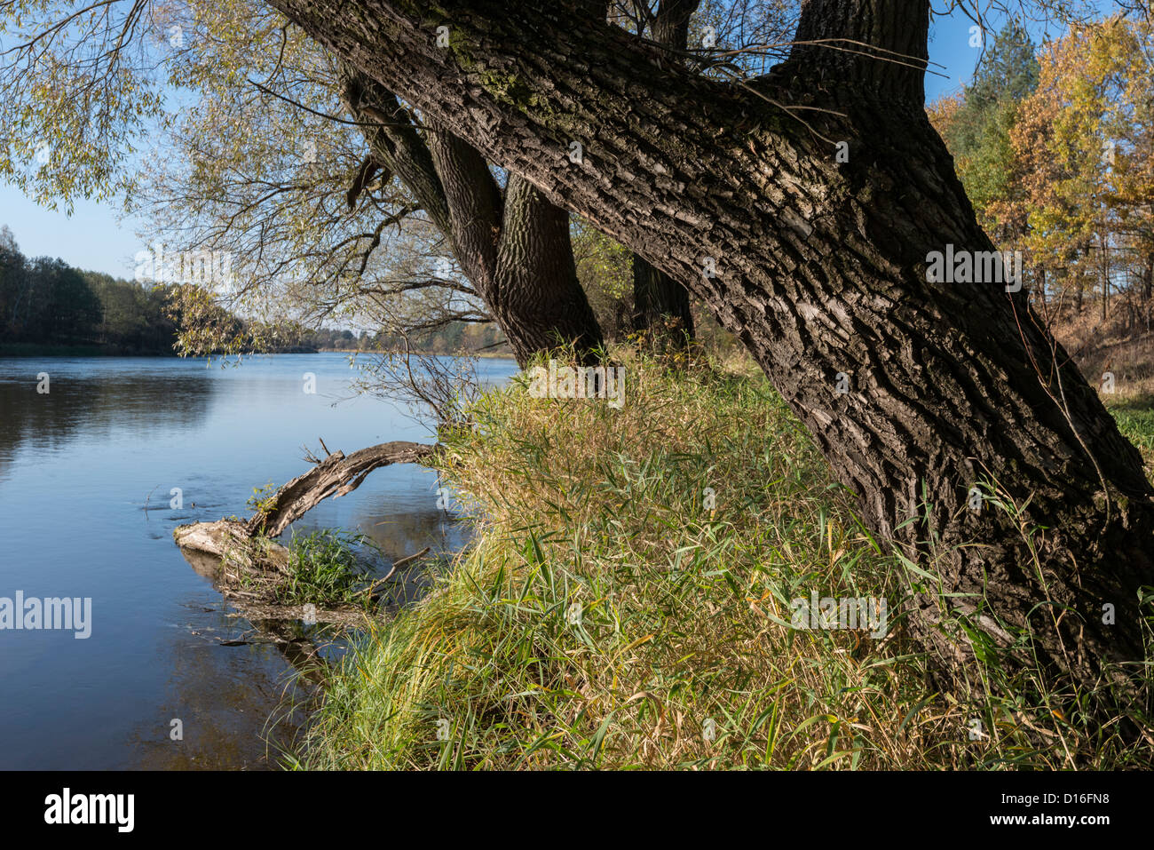 Around river Bug, Eastern Poland Stock Photo - Alamy