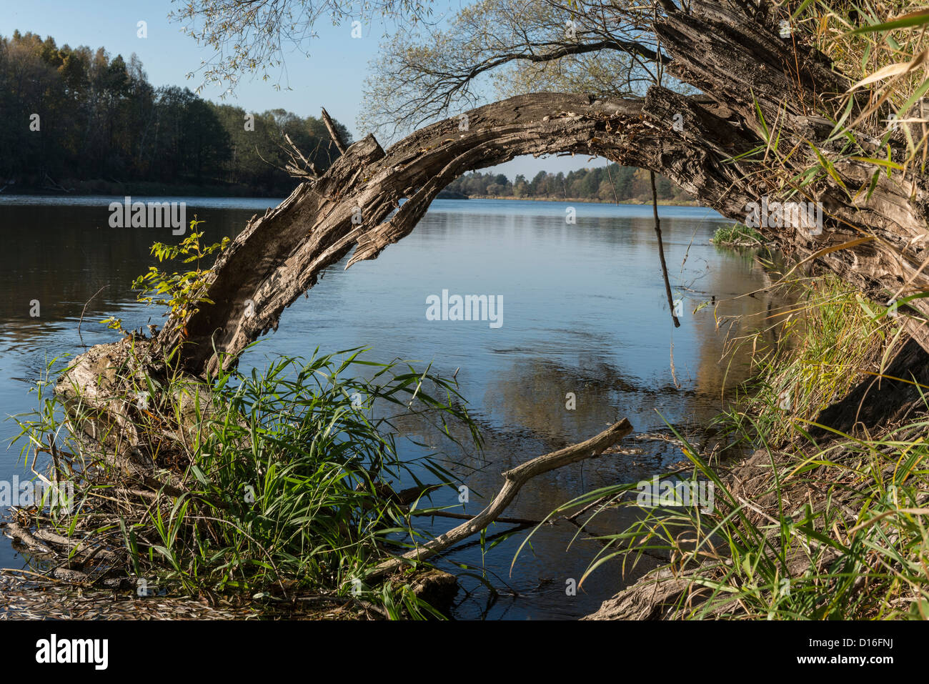 Around river Bug, Eastern Poland Stock Photo - Alamy