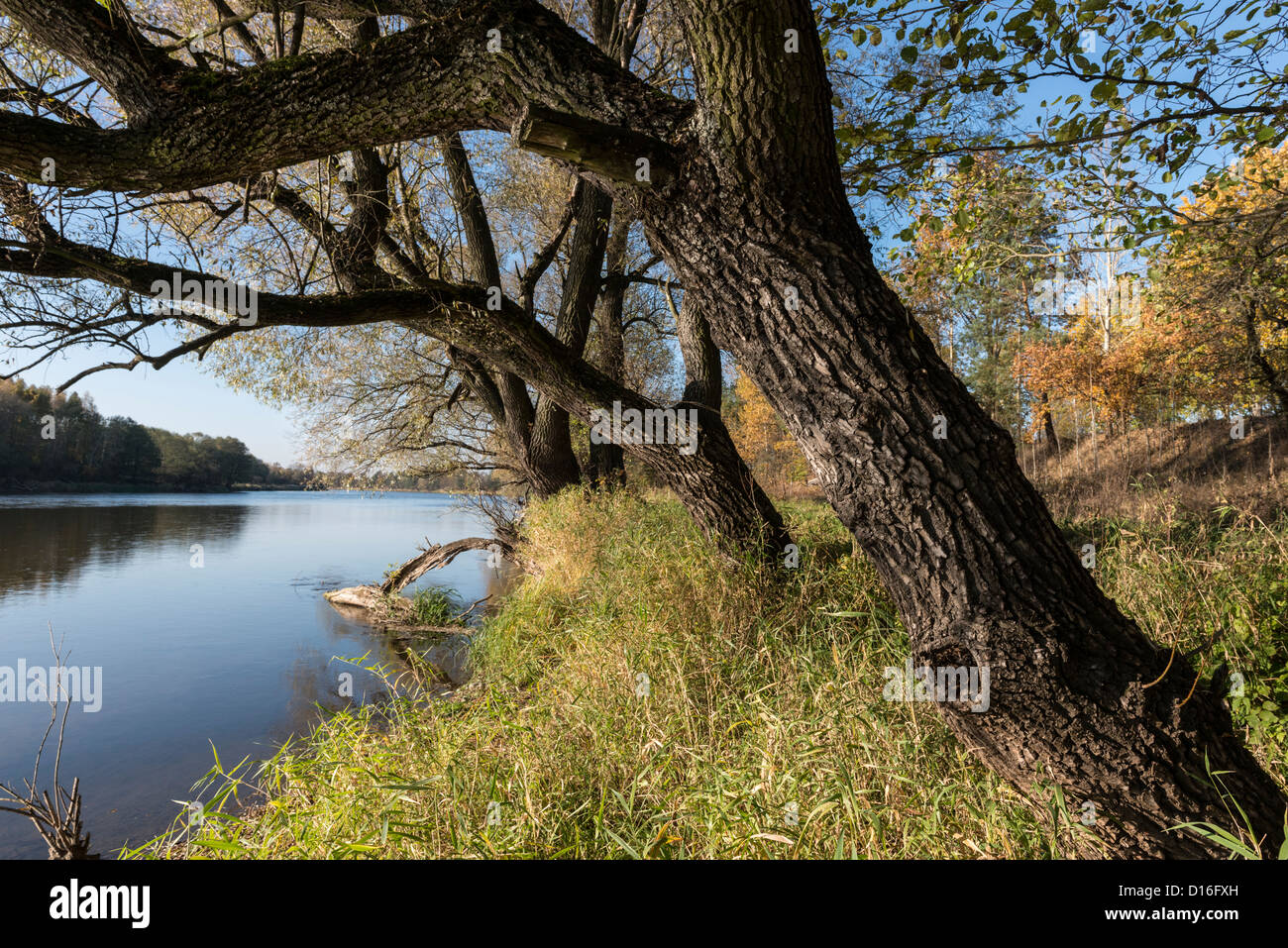 Around river Bug, Eastern Poland Stock Photo - Alamy