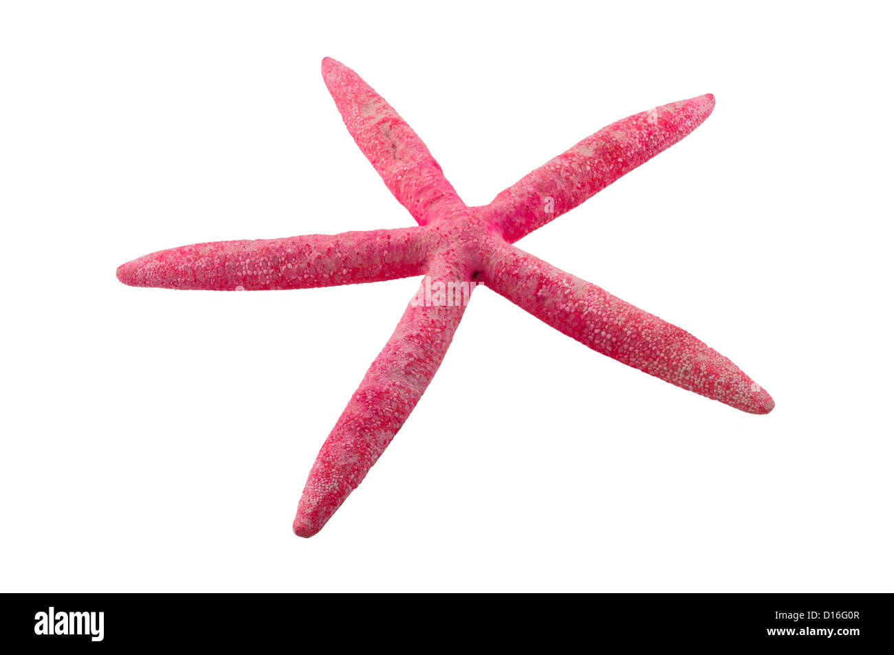 Five pointed starfish Cut Out Stock Images & Pictures - Alamy