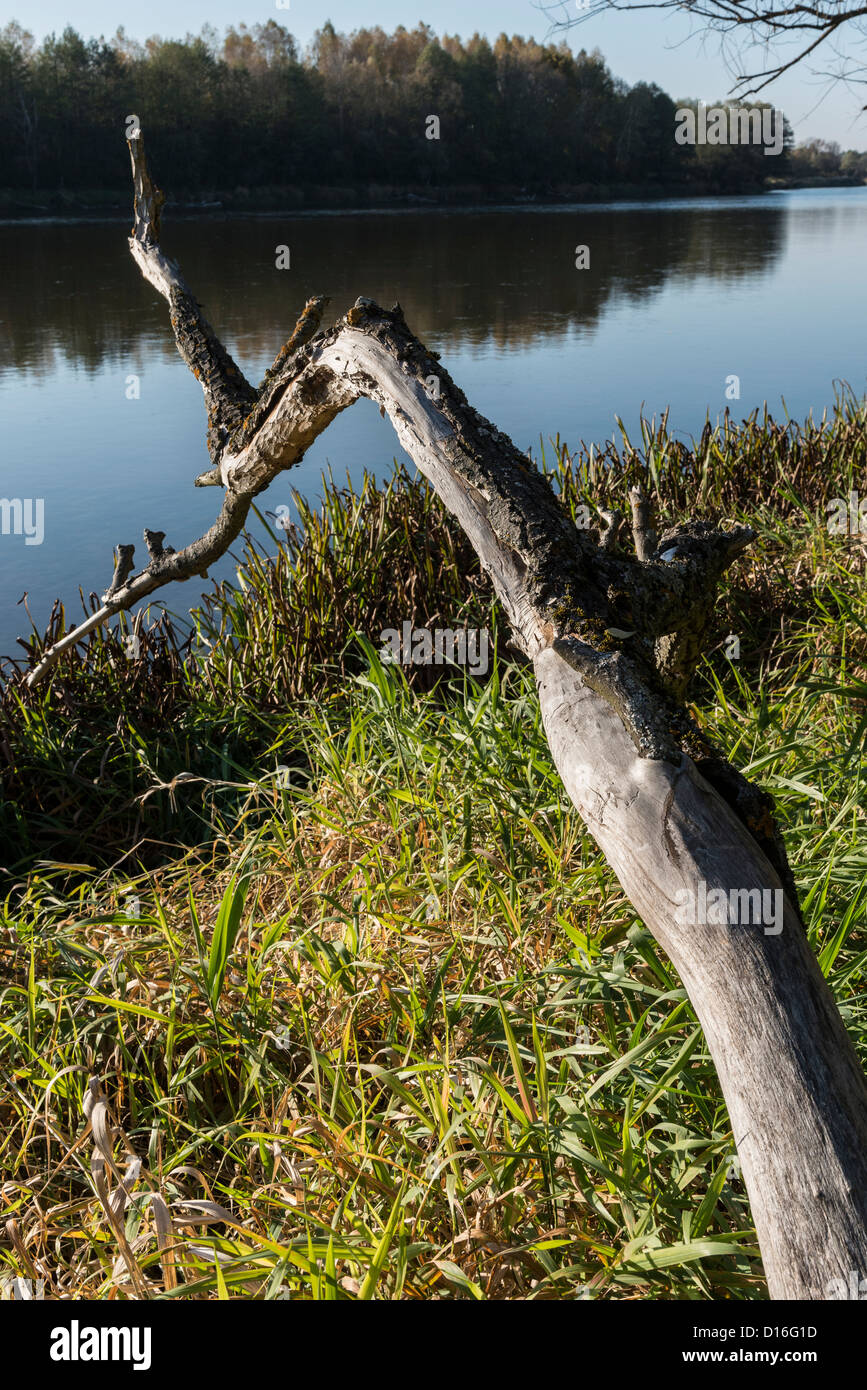 Around river Bug, Eastern Poland Stock Photo - Alamy