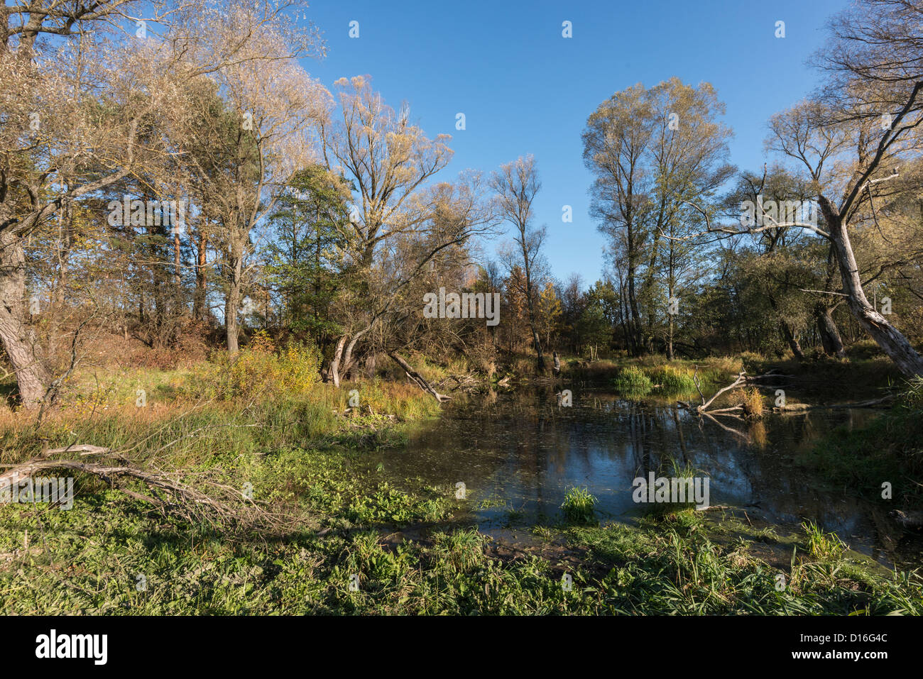 Around river Bug, Eastern Poland Stock Photo - Alamy