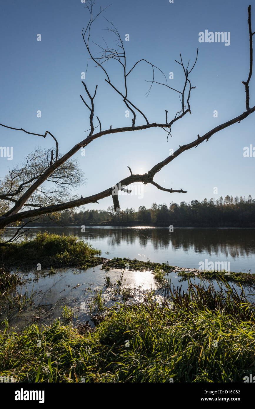 Around river Bug, Eastern Poland Stock Photo - Alamy