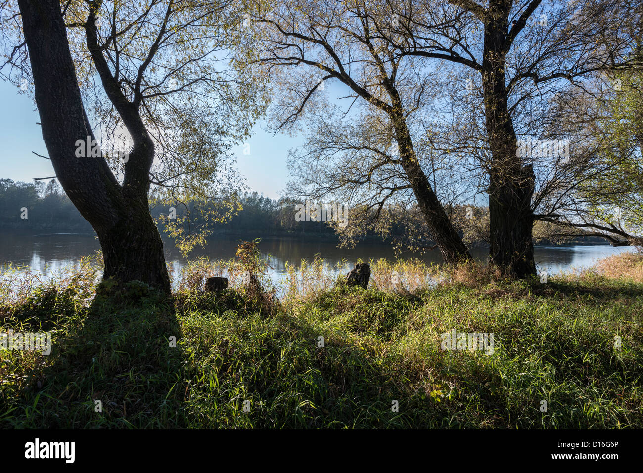 Around river Bug, Eastern Poland Stock Photo - Alamy