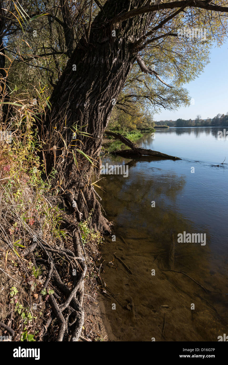 Around river Bug, Eastern Poland Stock Photo - Alamy