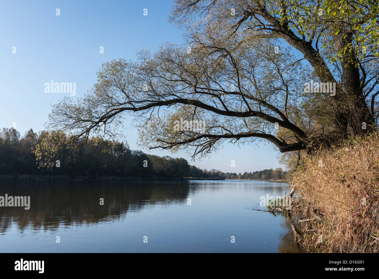 Around river Bug, Eastern Poland Stock Photo - Alamy