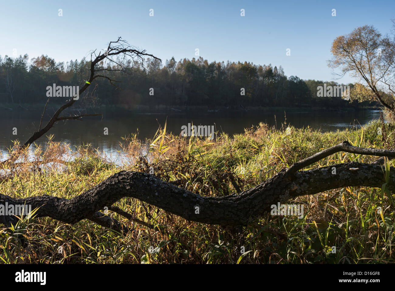 Around river Bug, Eastern Poland Stock Photo - Alamy