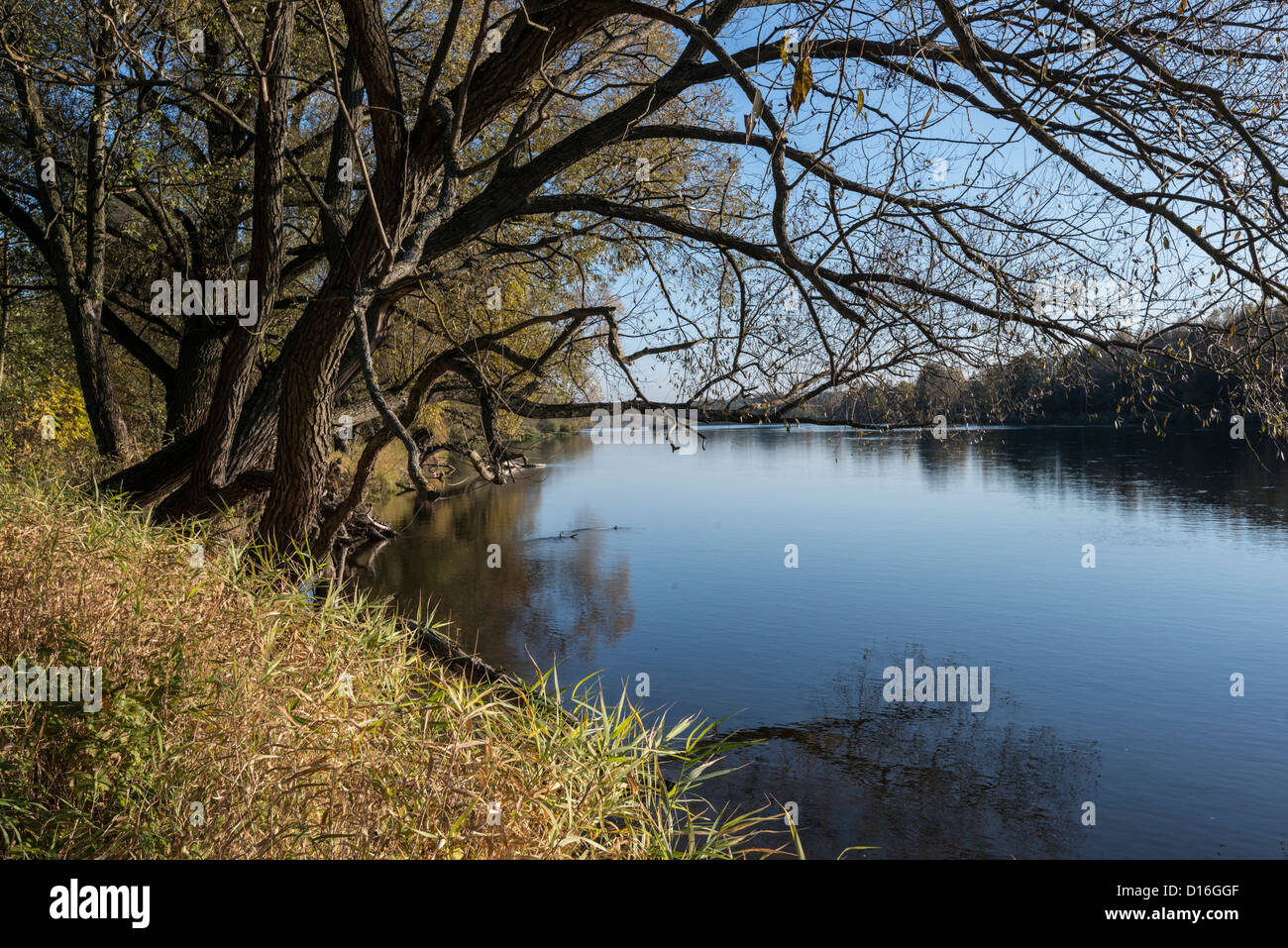 Around river Bug, Eastern Poland Stock Photo - Alamy