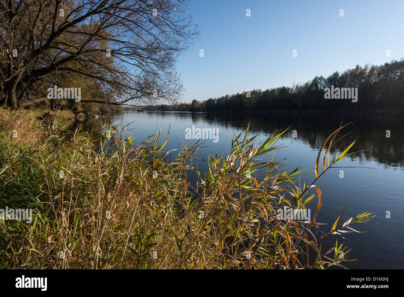 Around river Bug, Eastern Poland Stock Photo - Alamy