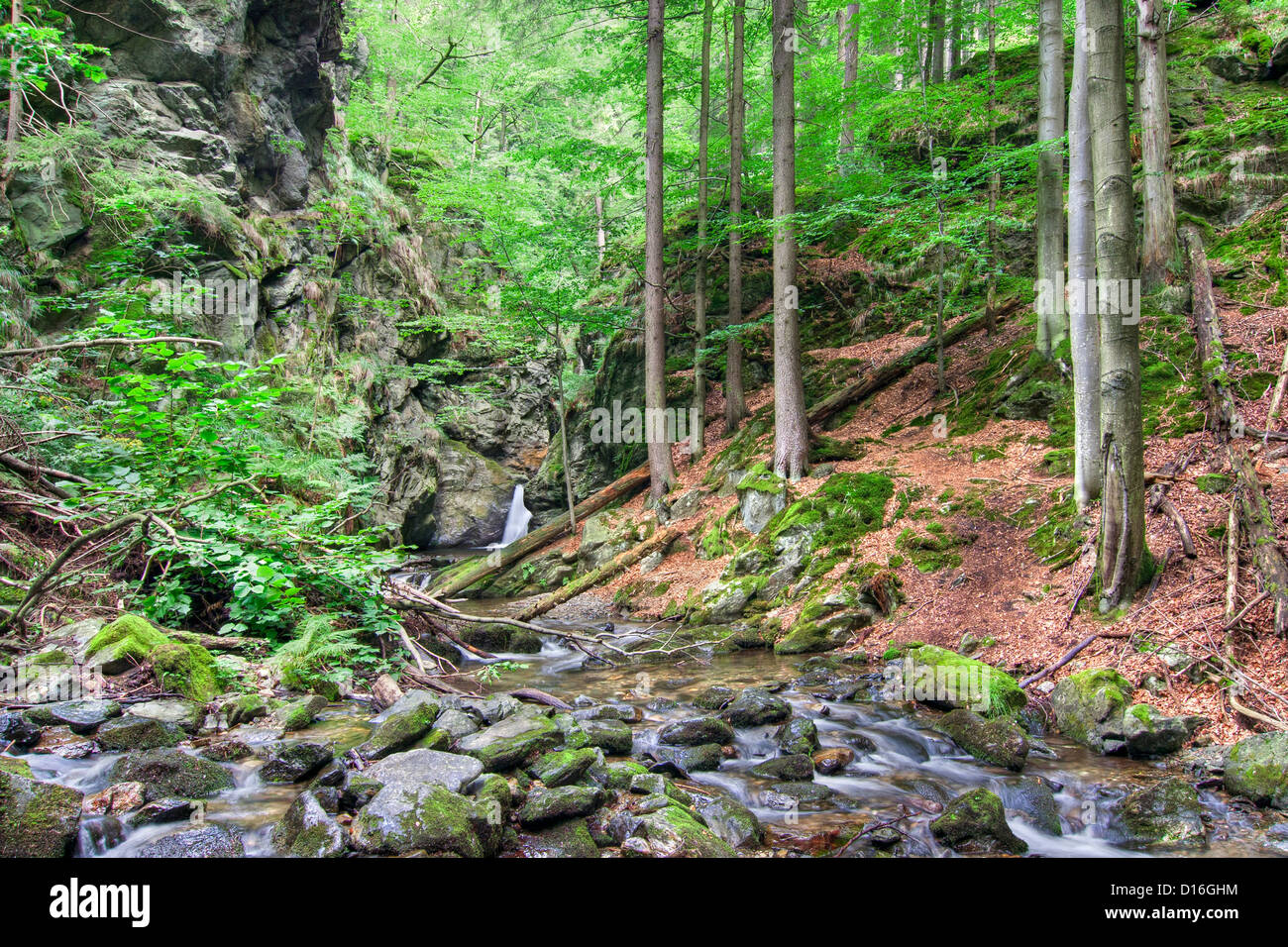 Nyznerov waterfalls - Silver brook, Moravia, Czech republic Stock Photo ...