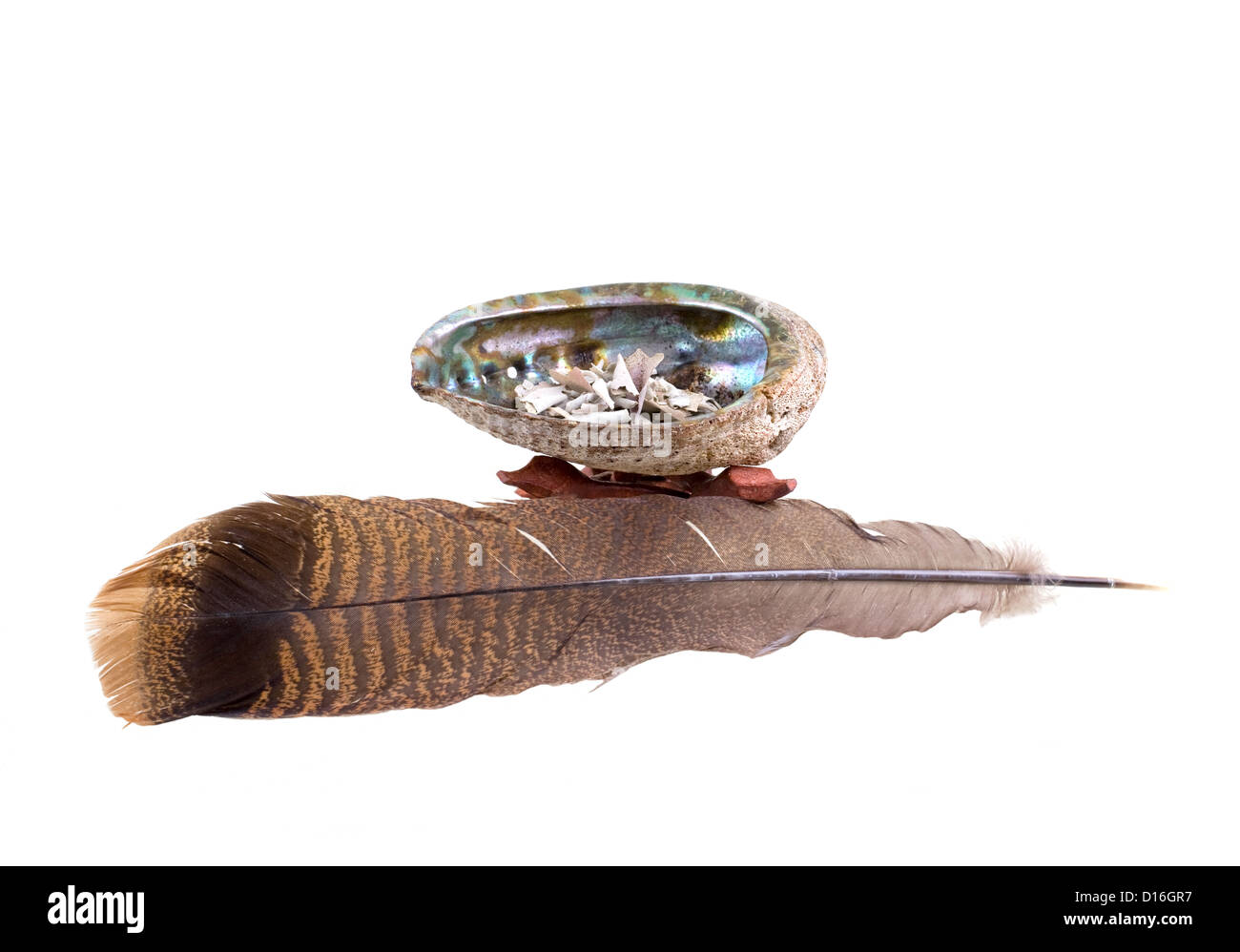 Traditional smudging shell with sage Stock Photo - Alamy