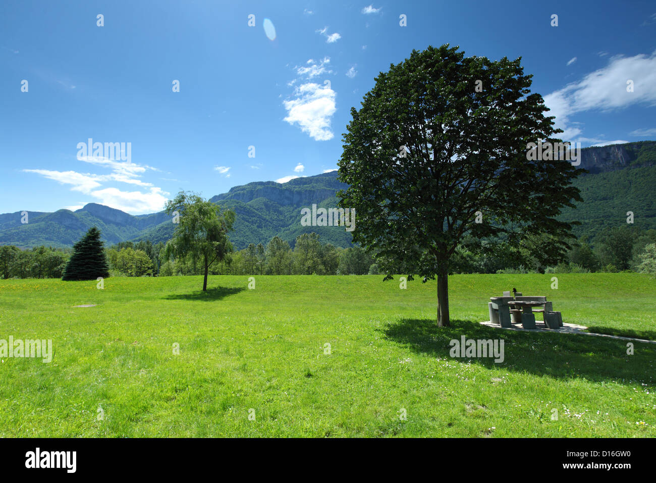a beautiful view of the alps tree on grass field Stock Photo - Alamy