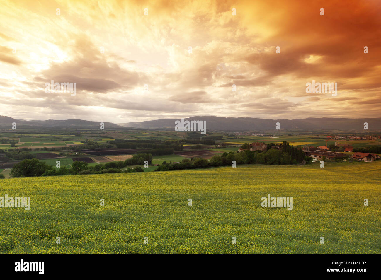 Green meadow under sunset sky with clouds Stock Photo - Alamy
