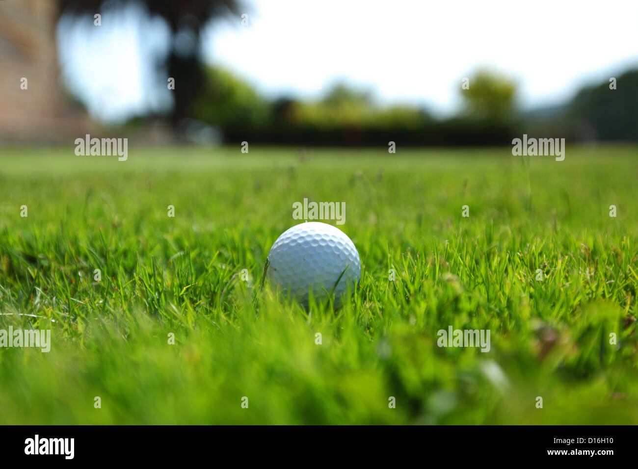 golf-ball on course Stock Photo - Alamy