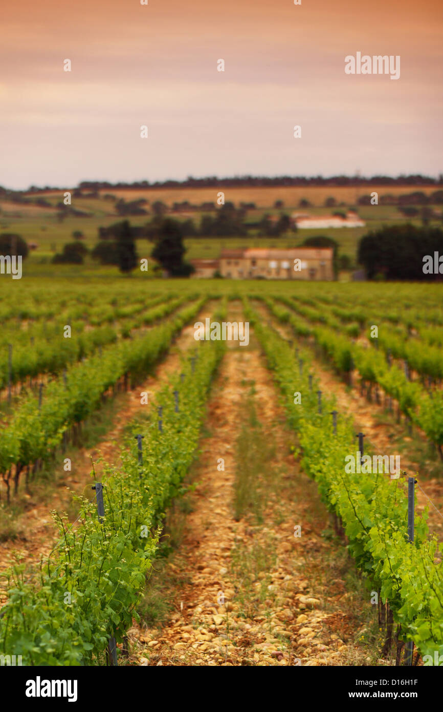 Orange wine country australia hi-res stock photography and images - Alamy