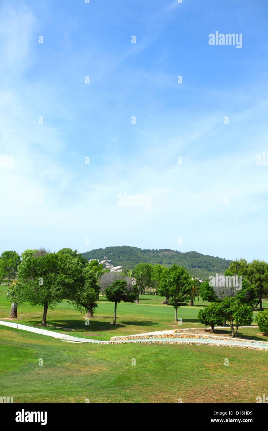 Green grass on a golf field Stock Photo - Alamy