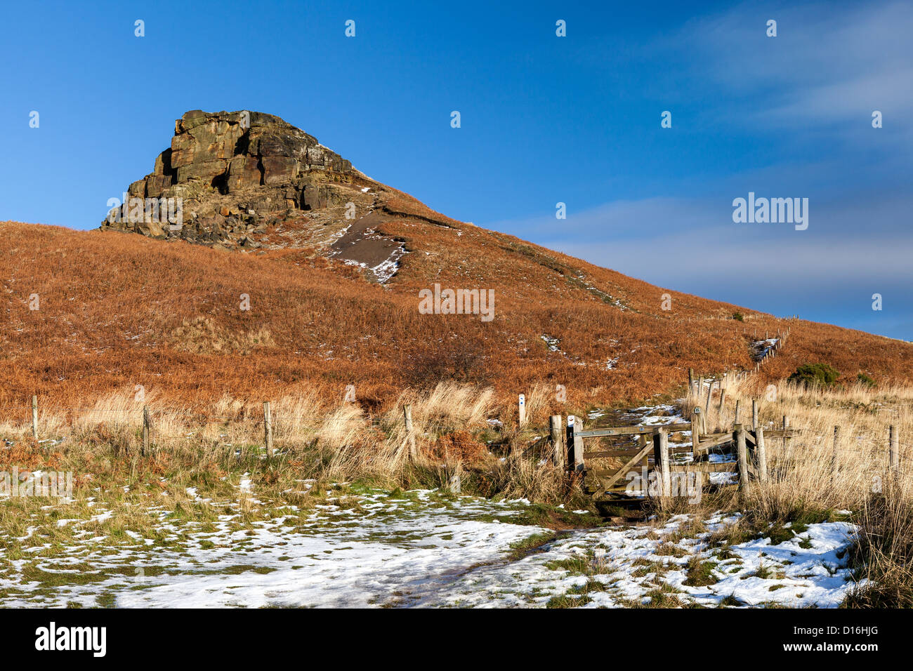 Little roseberry hi-res stock photography and images - Alamy