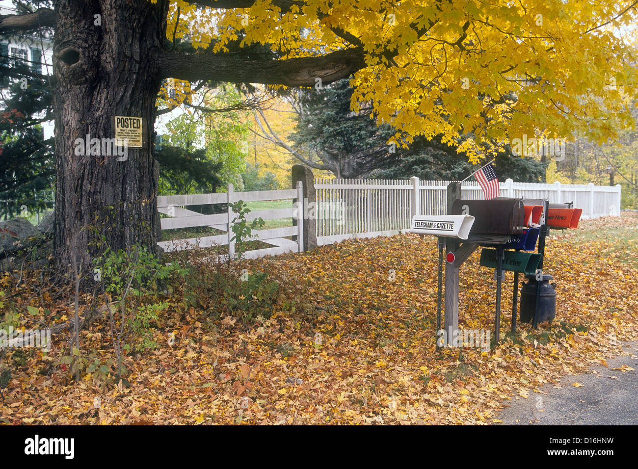 Mailboxes and paper tubes on a country road Stock Photo - Alamy