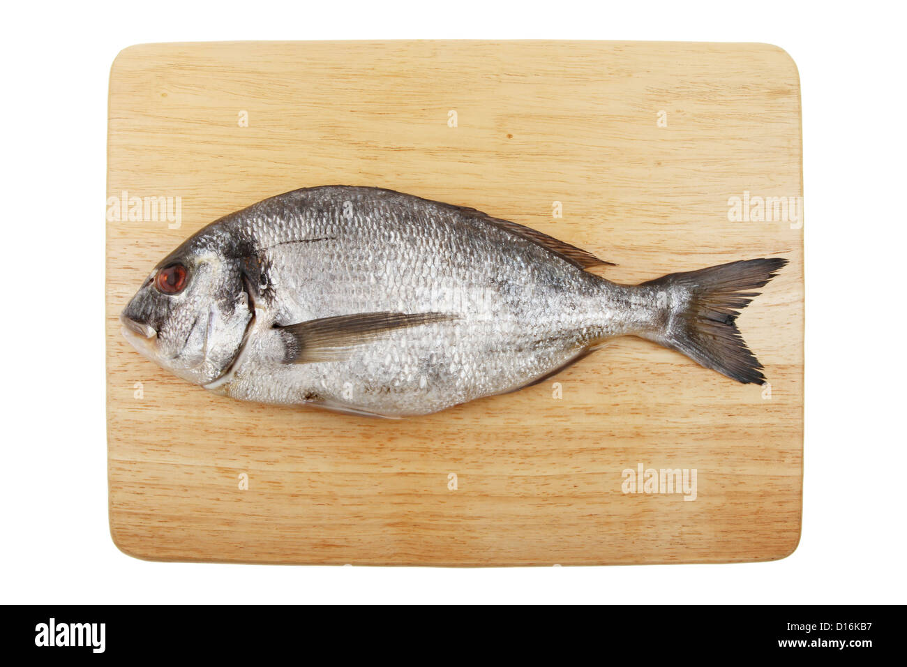 Sea bream hi-res stock photography and images - Alamy