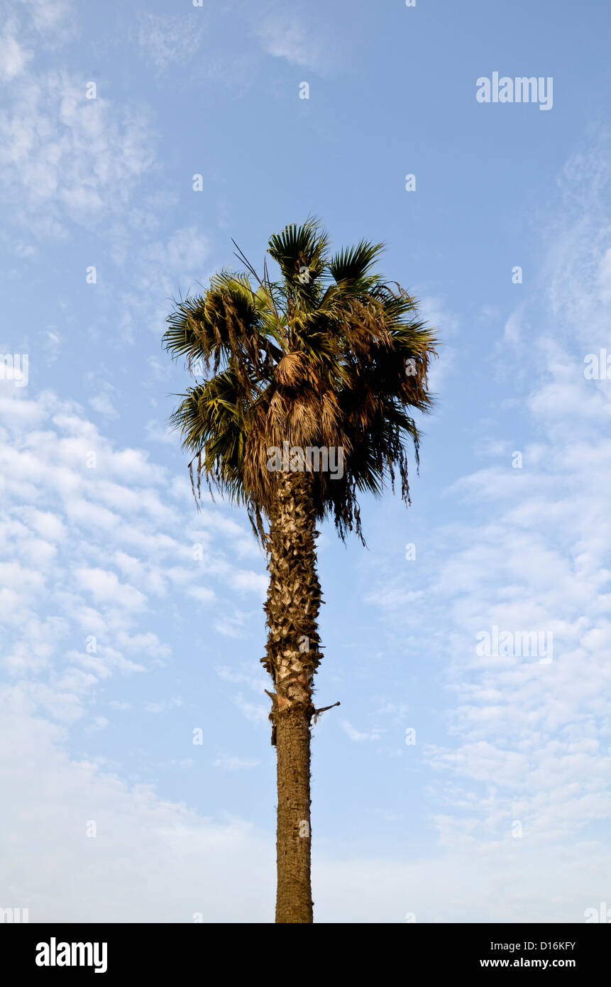City environment peru hi-res stock photography and images - Alamy