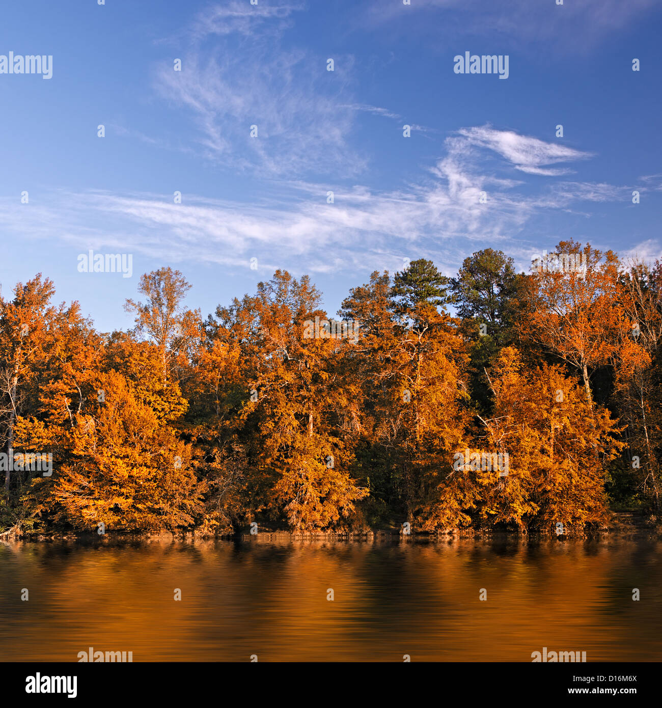 Chattahoochee river fall colors hi-res stock photography and images - Alamy