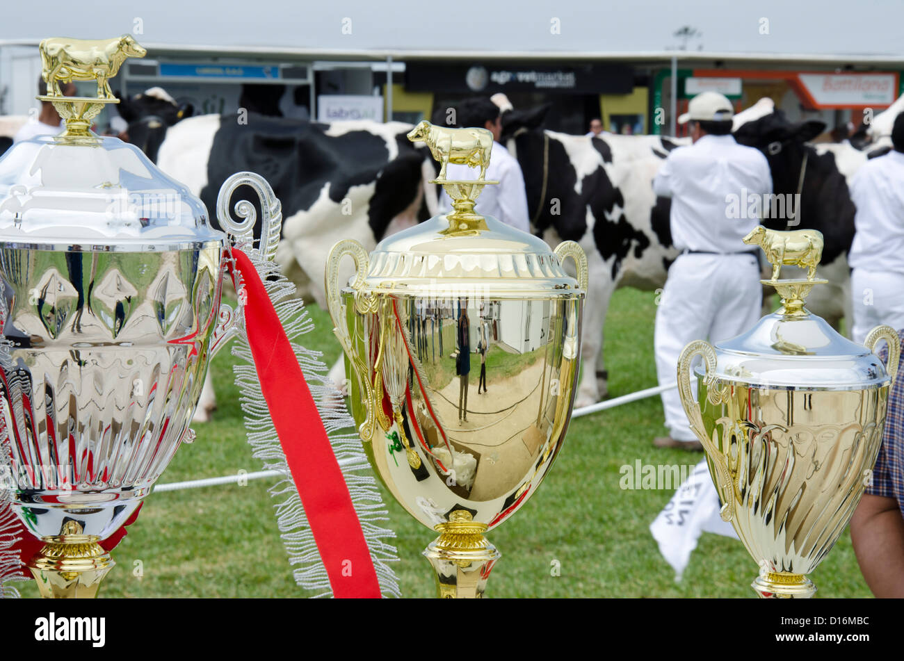 Cattle cup hi-res stock photography and images - Alamy