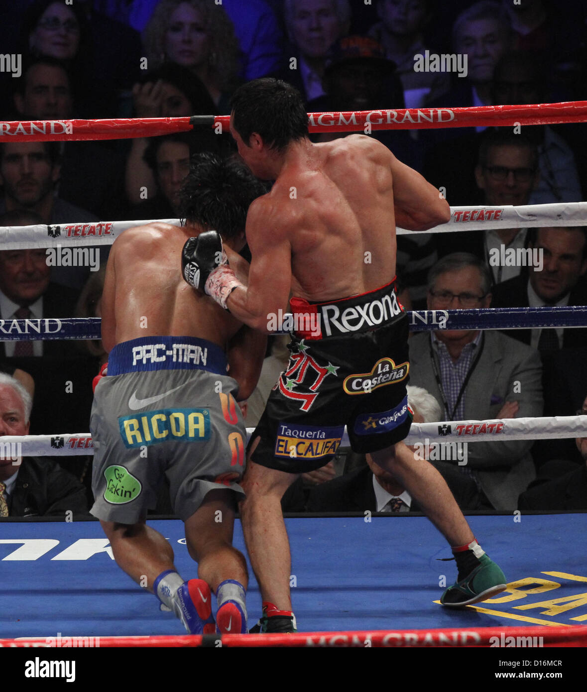Dec 9 2012 Las Vegas Nevada Usa Juan Marquez Black Trunks