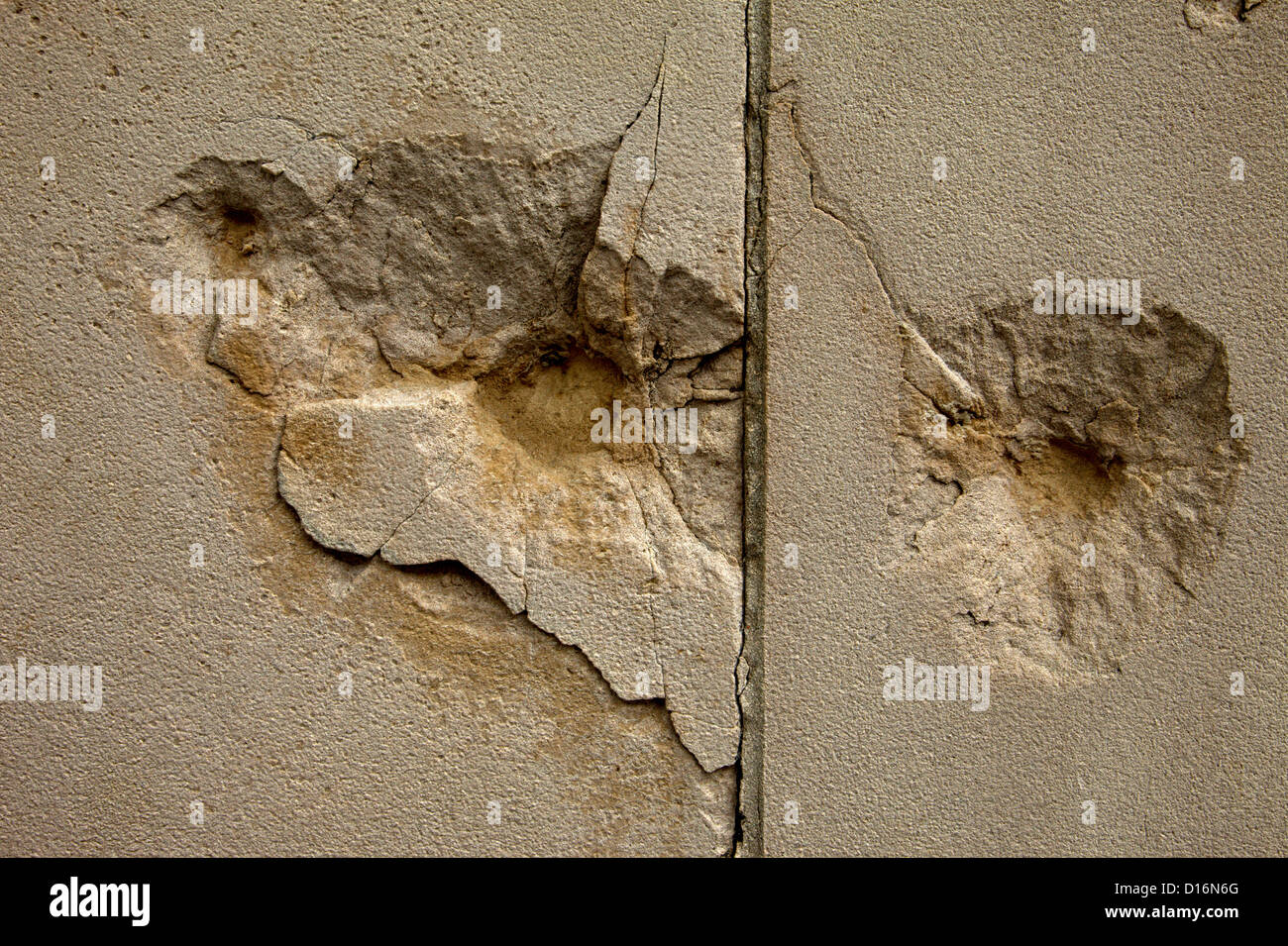 German bomb damage from World War II to the wall of the Victoria and ...