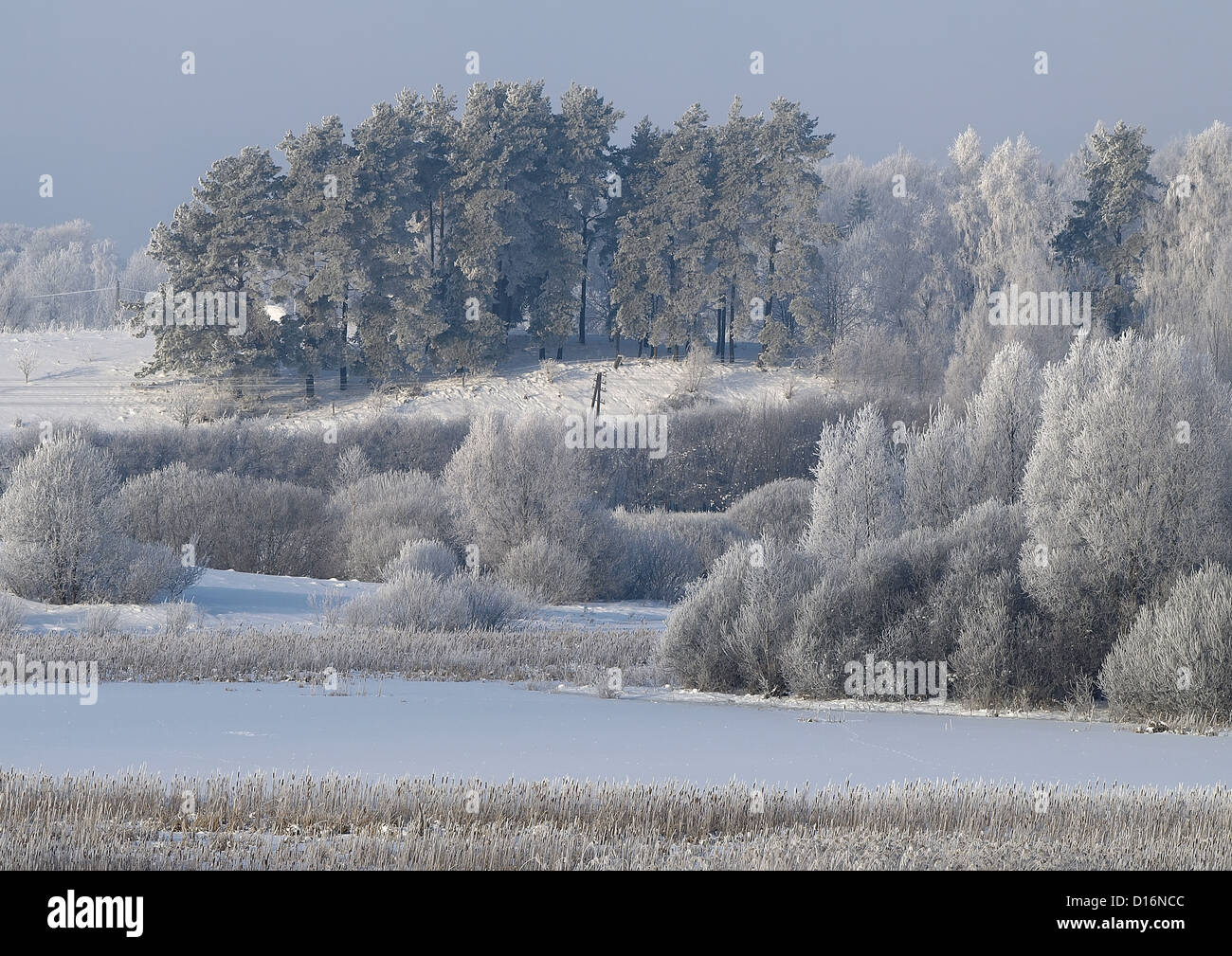 winter frozen lake Stock Photo - Alamy