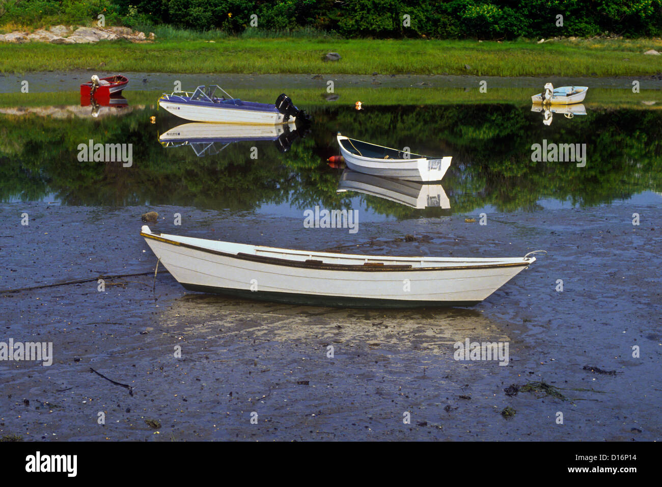 Dorys in the mud flats in Ogunquit, Maine Stock Photo - Alamy