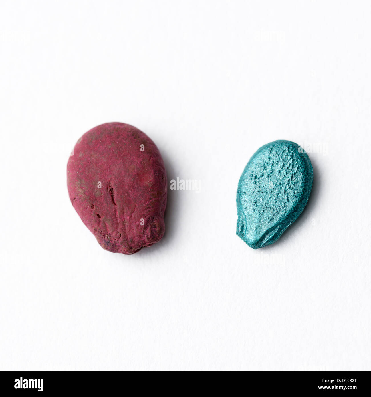 Hybrid watermelon hi-res stock photography and images - Alamy