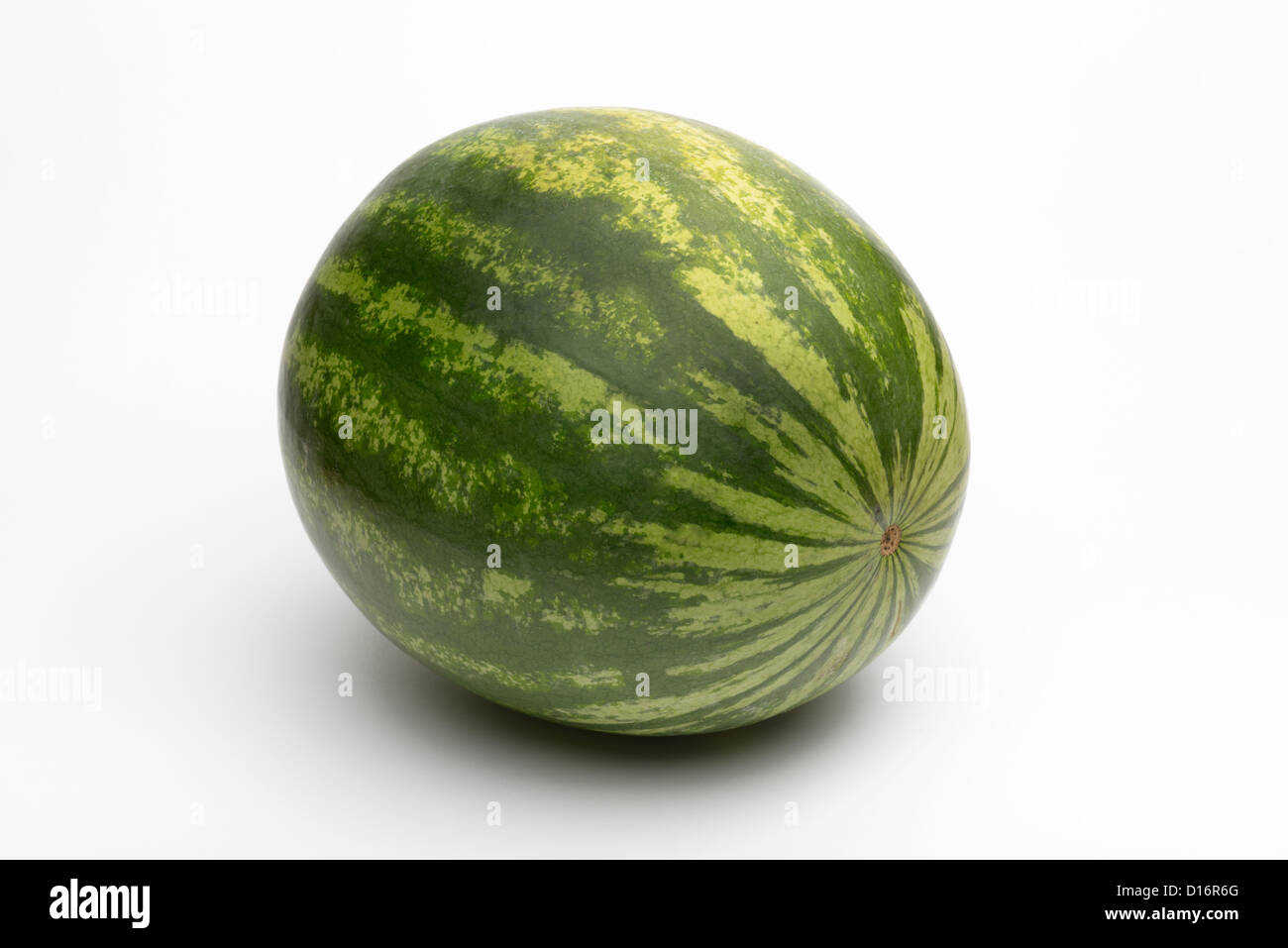 Watermelon. It is a hybrid seedless variety - see description Stock ...