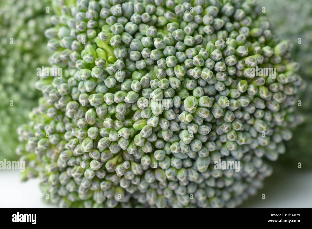 Broccoli flowers hi-res stock photography and images - Alamy