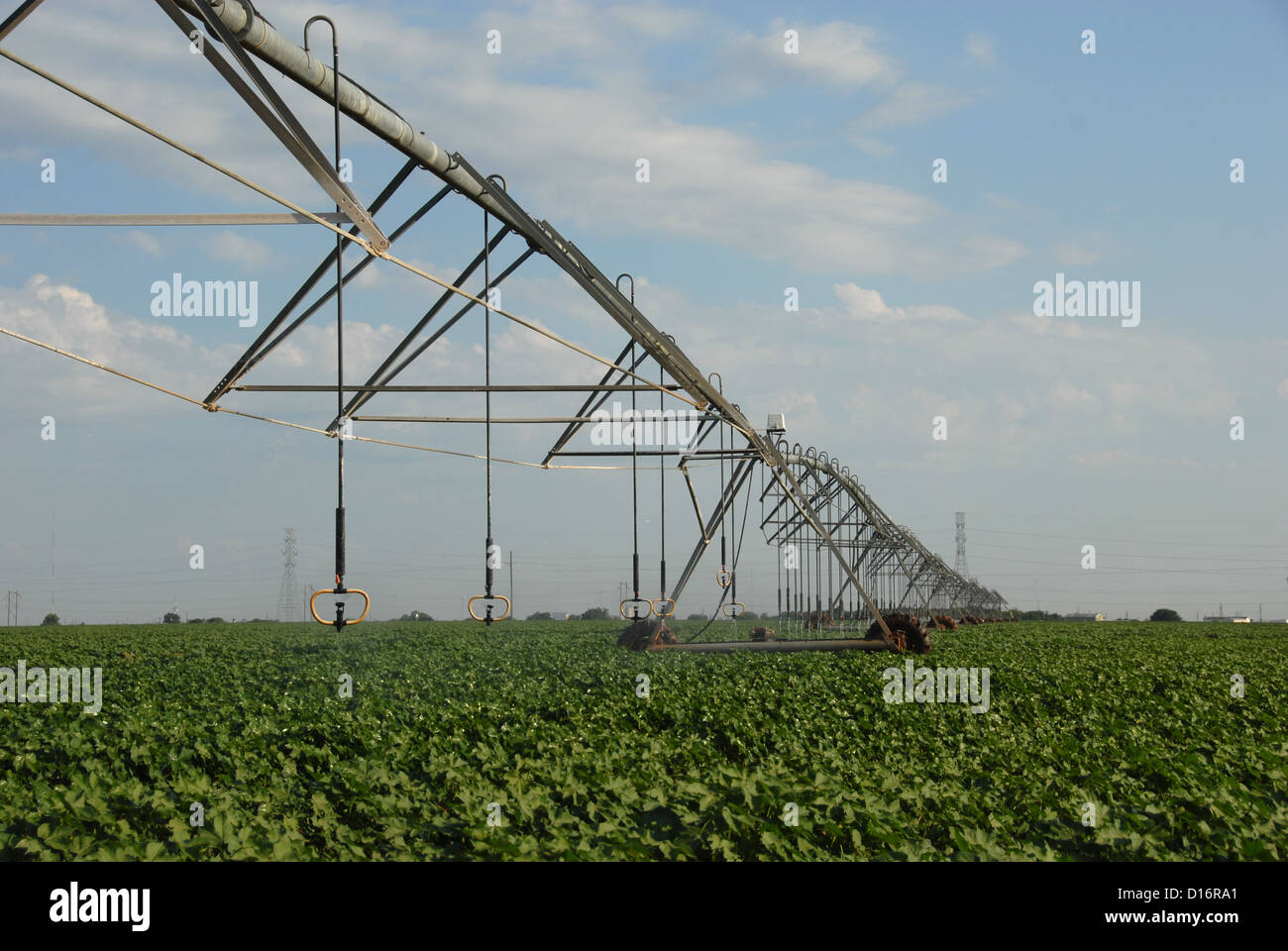 close up of Irrigation on farmland Stock Photo - Alamy