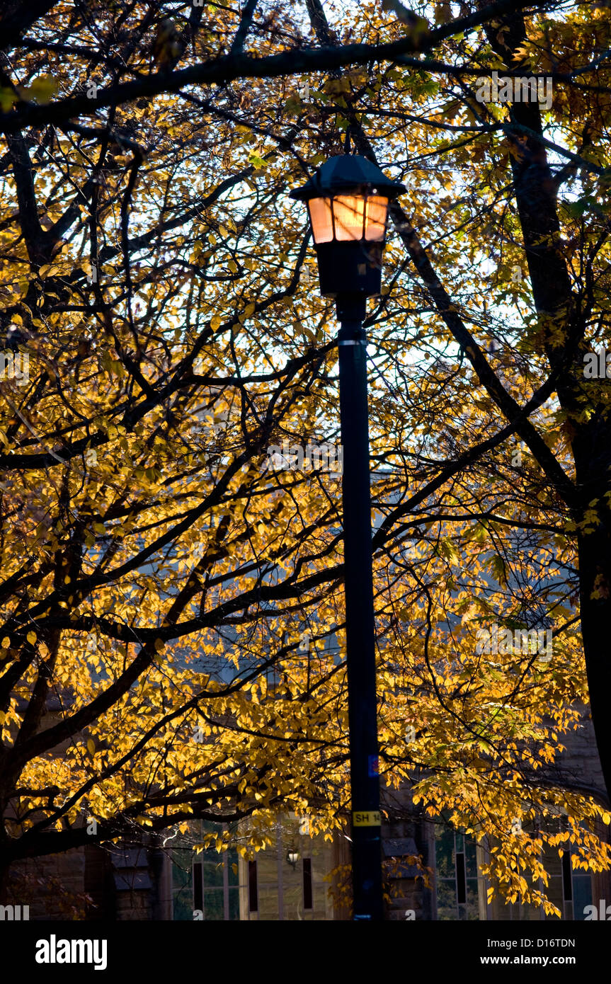 Mostly autumn hi-res stock photography and images - Alamy