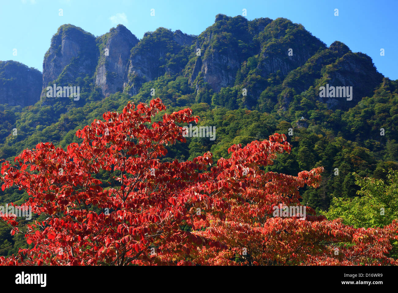 Red leaves and Mount Myogi in the background in Tomioka, Gunma ...