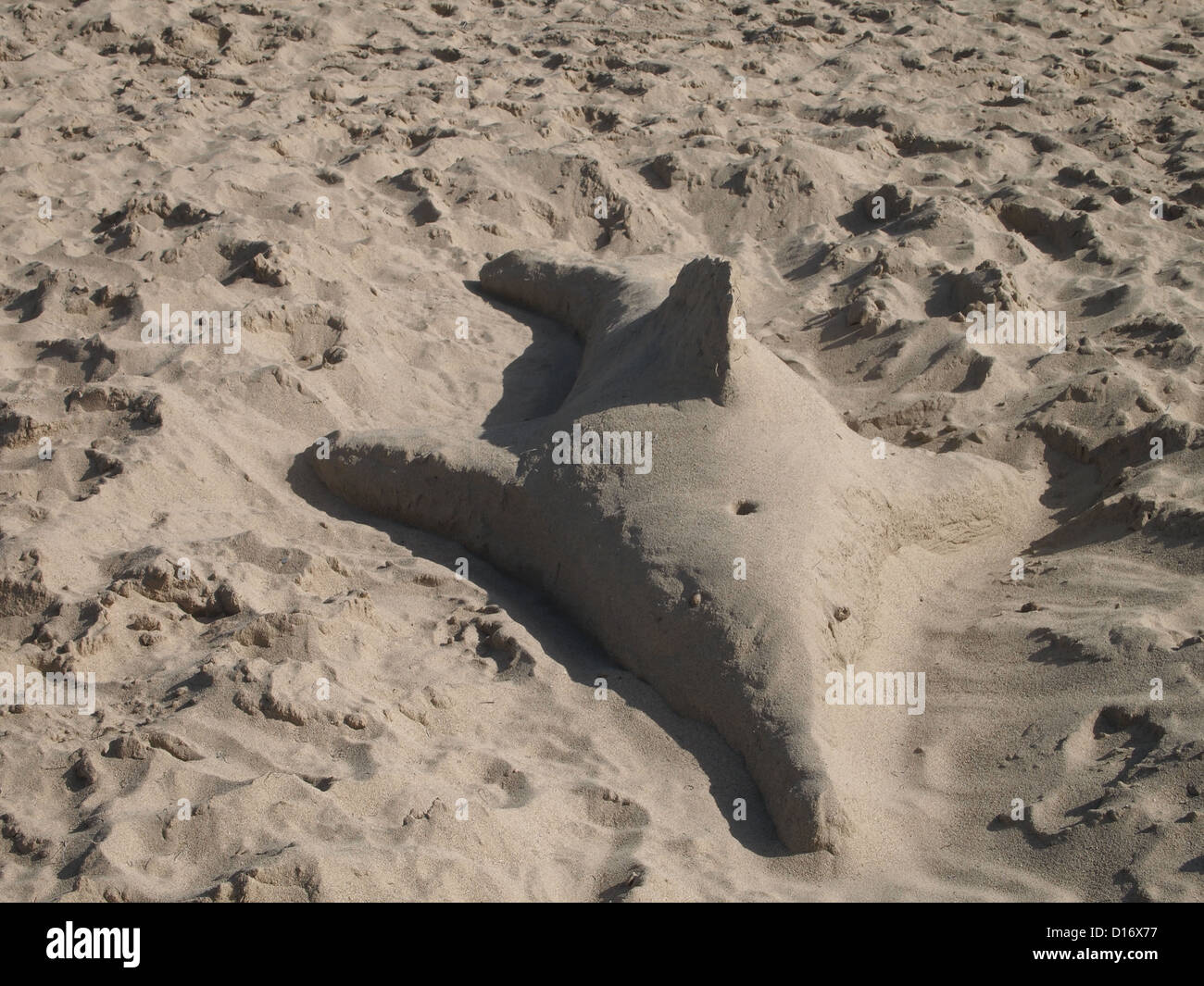 A dolphin, made of sand Stock Photo - Alamy