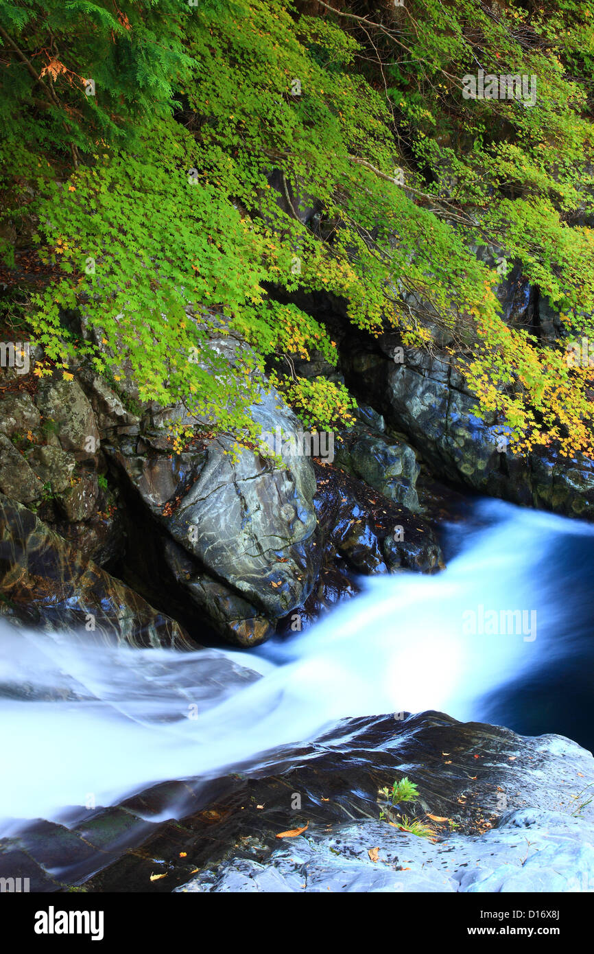 Mitarai hi-res stock photography and images - Alamy