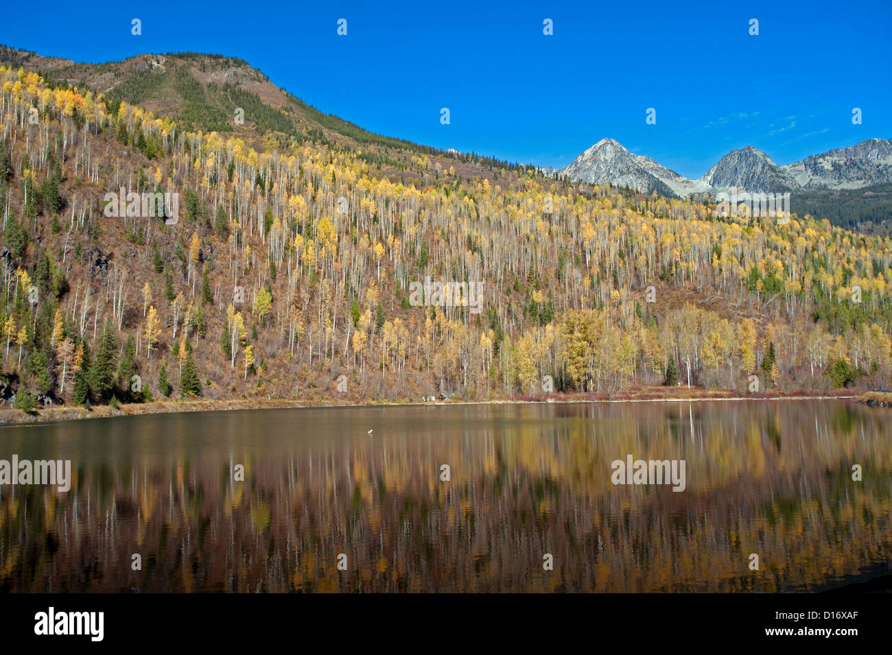 Goat range hi-res stock photography and images - Alamy