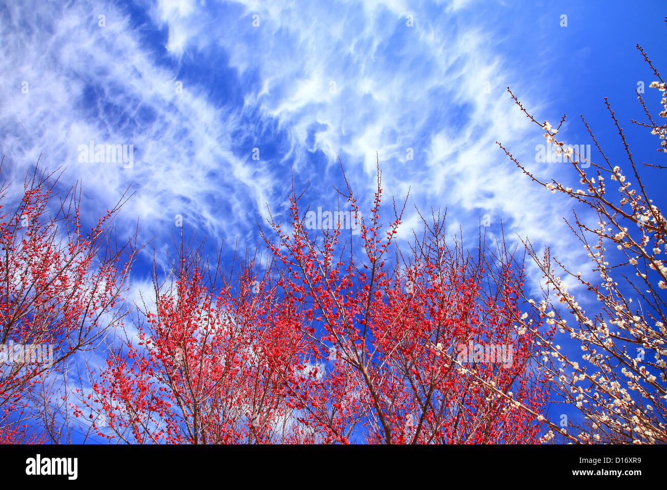 Minabegawa old village hi-res stock photography and images - Alamy
