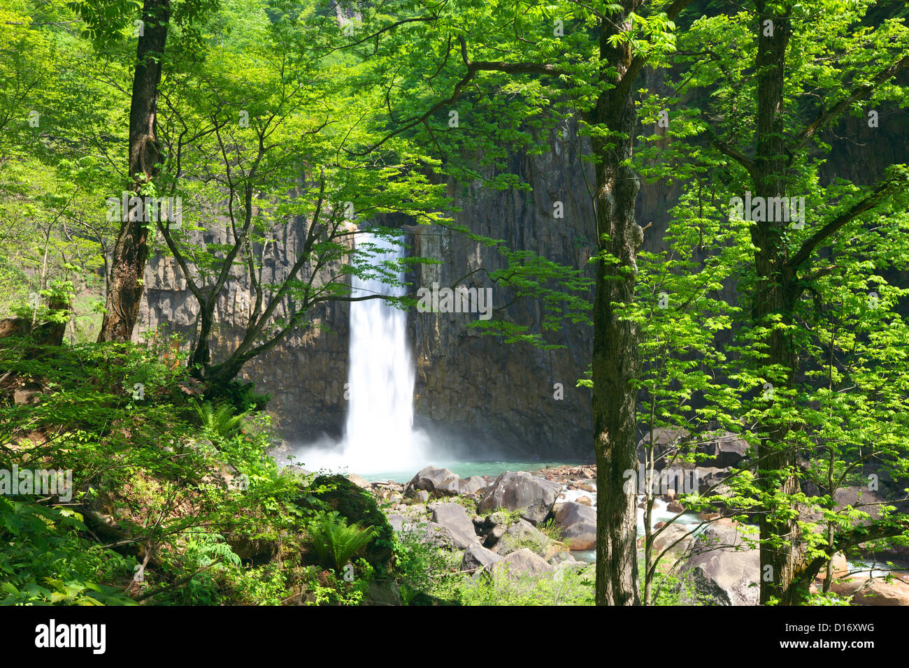 Green leaves and Naena waterfall, Niigata Prefecture Stock Photo - Alamy