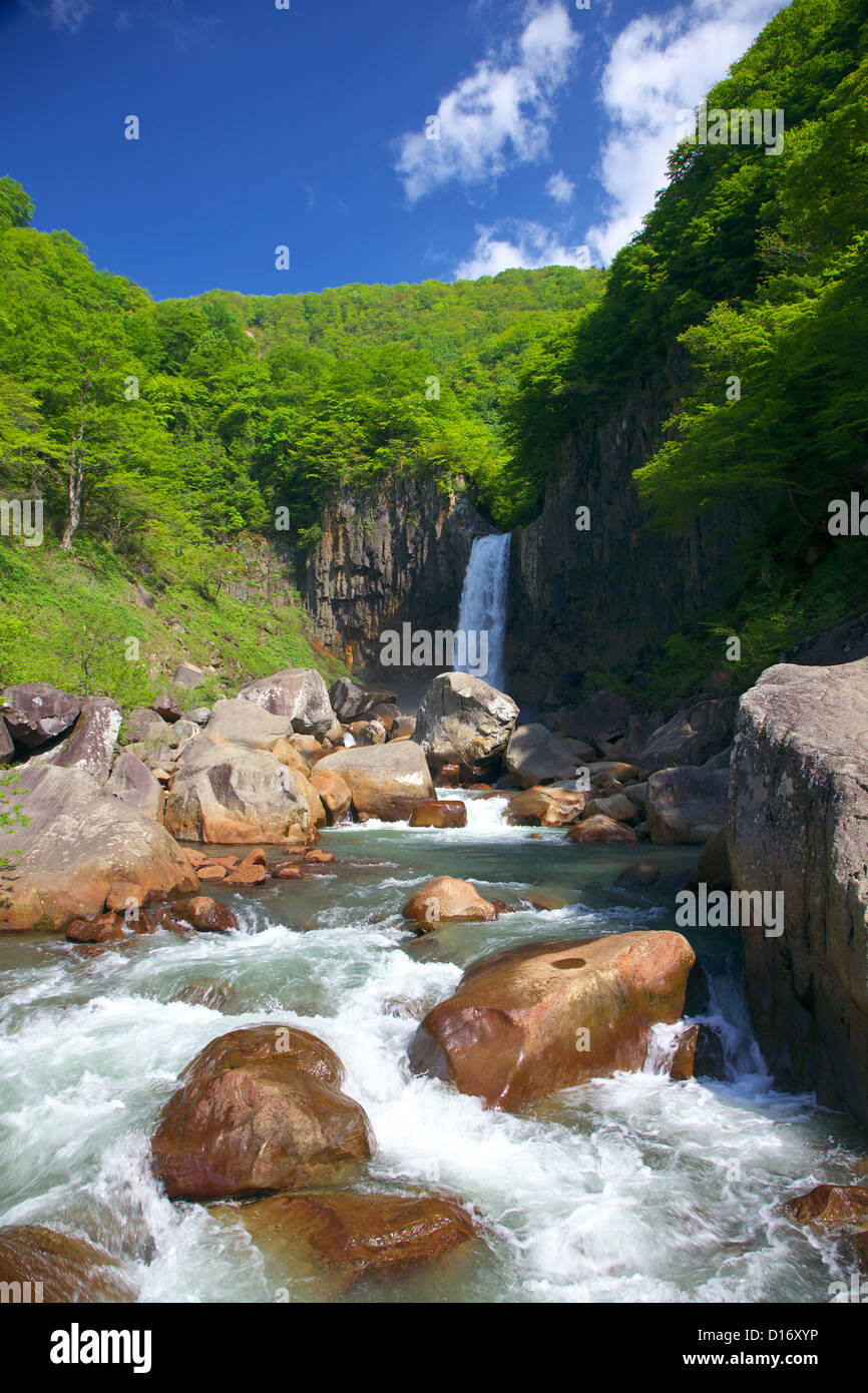 Naena waterfall, rocks and green leaves, Niigata Prefecture Stock Photo ...